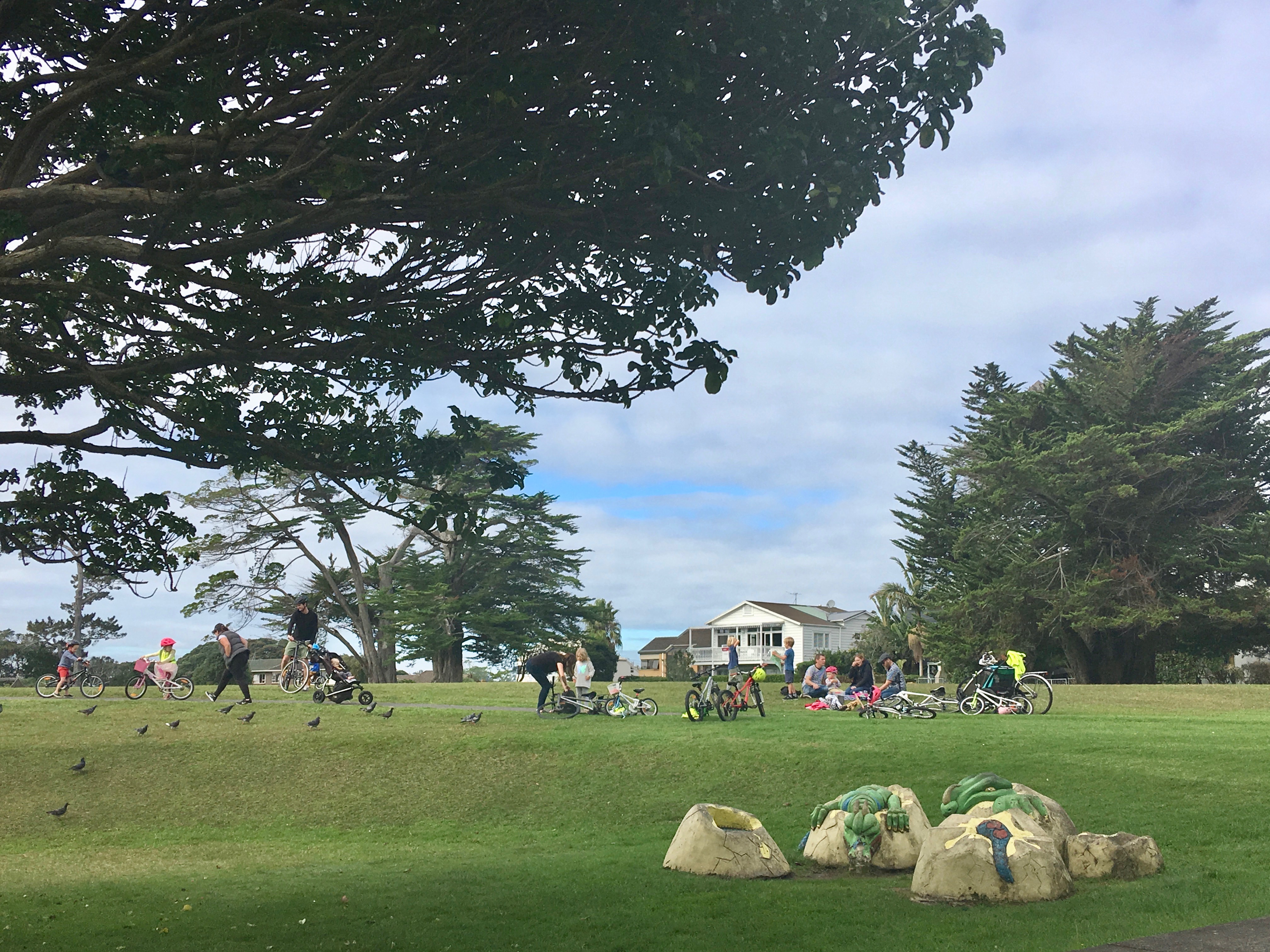 Coyle Park, Pt Chevalier - Bike Auckland