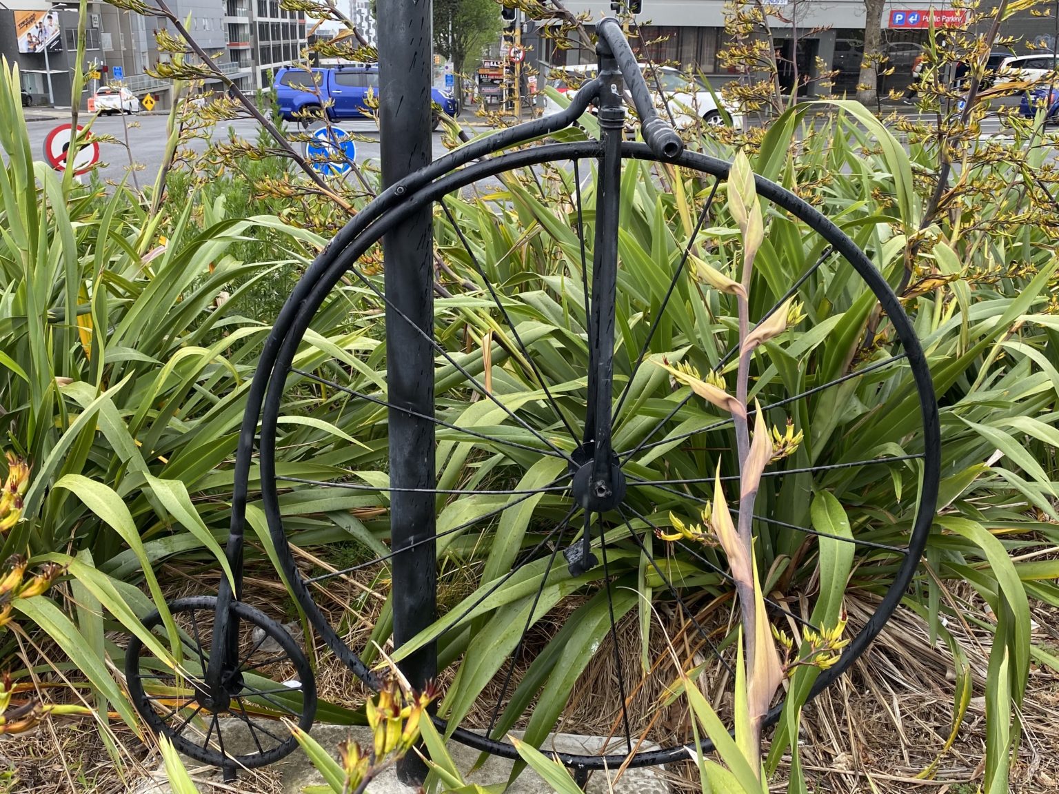Lightpath / Te Ara i Whiti - Bike Auckland