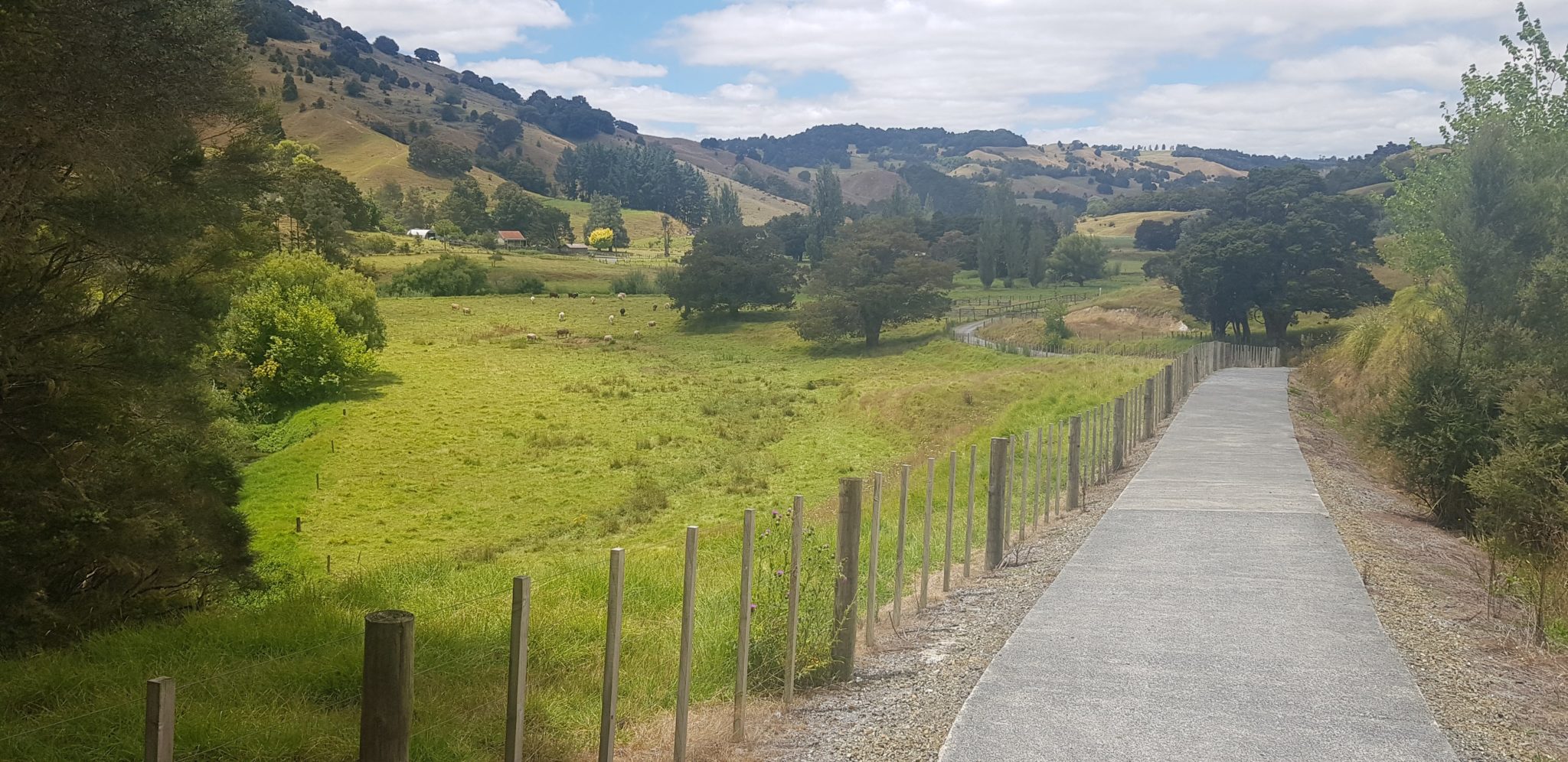 Experience: Riding the Twin Coast Cycle Trail - Bike Auckland