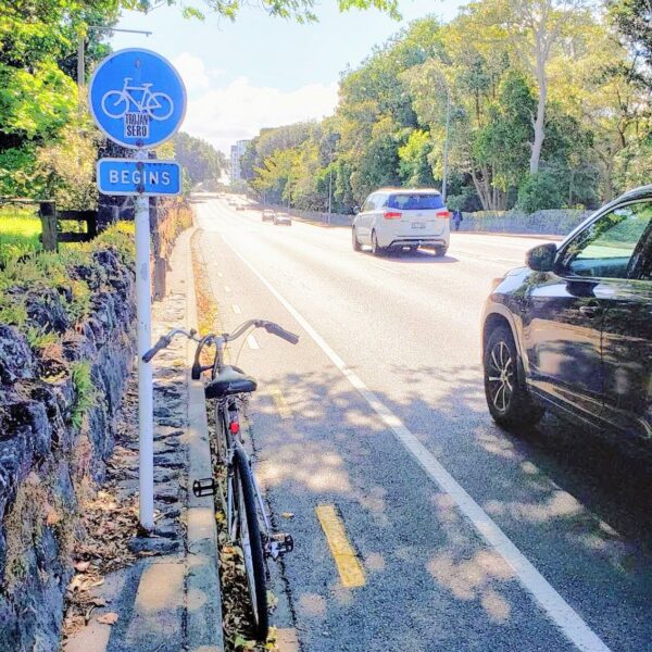 Feedback guide: changes to Green Lane West