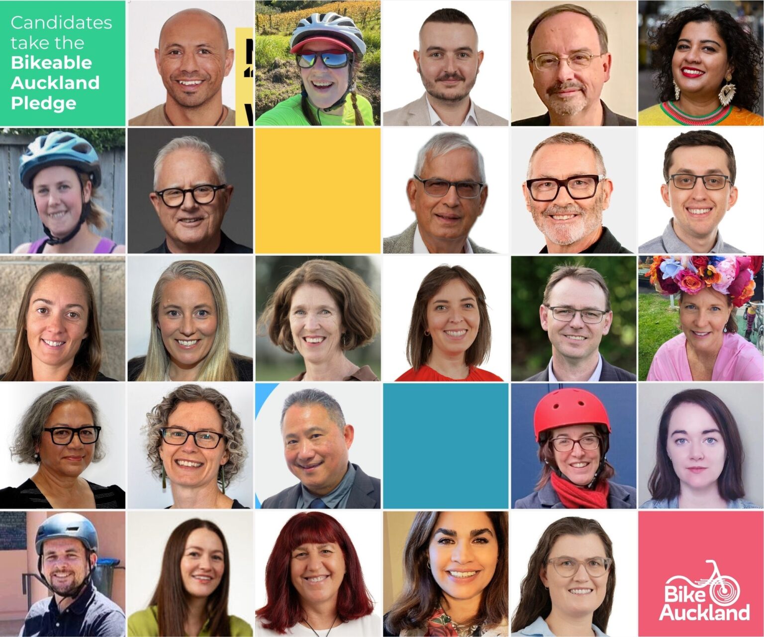 Local election resources