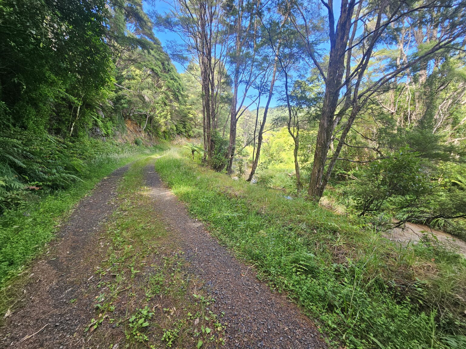 Hunua Ranges Regional Park River Loop Safari Ride - Bike Auckland